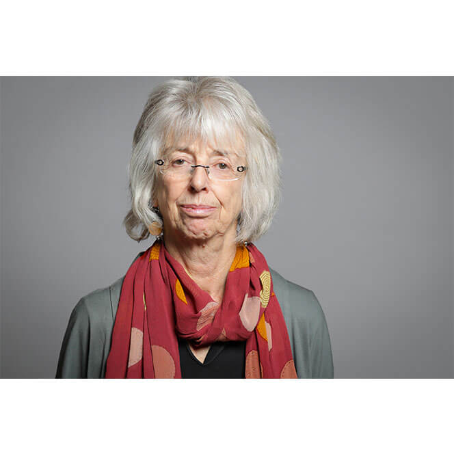 The government says it has a strategy, but it doesn’t – we are going ...